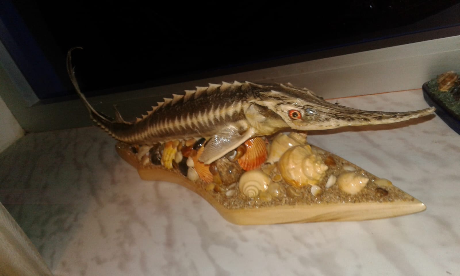 Qurudulmus Baliq Xerceng Tisbaga Suvenir — Hediyyem.az